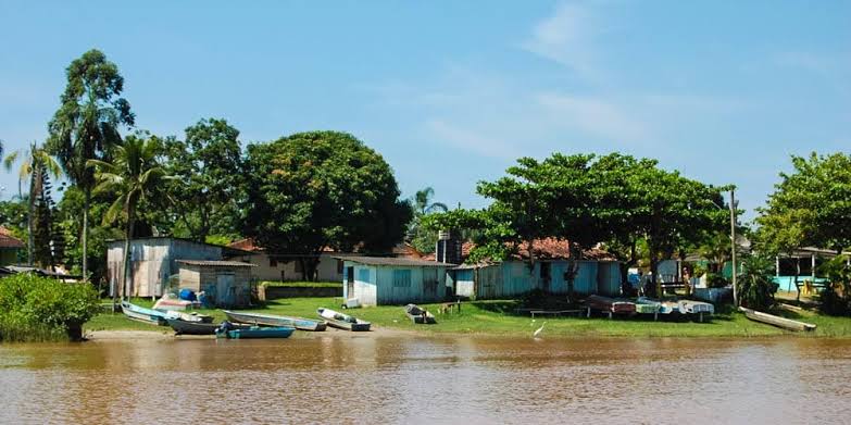Essência Litorânea
